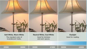 Difference Between Daylight And Bright White: Best Color Temperature